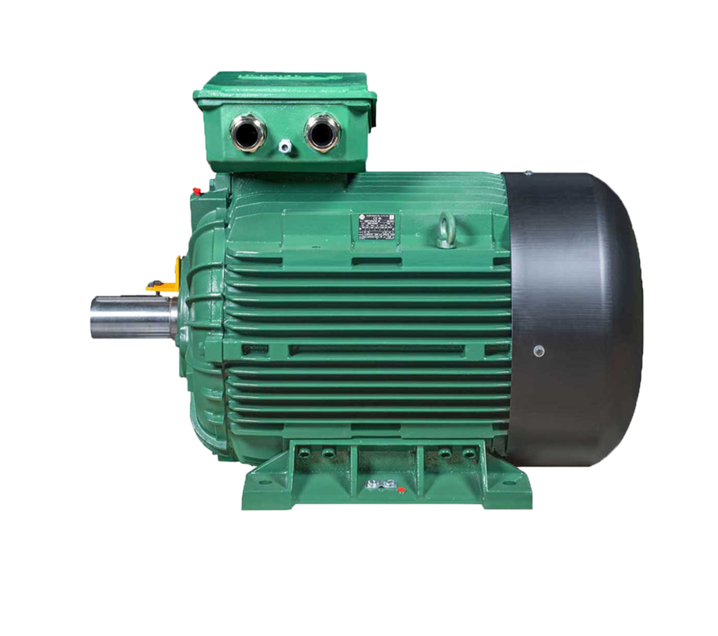 GENERAL PURPOSE INDUCTION MOTOR